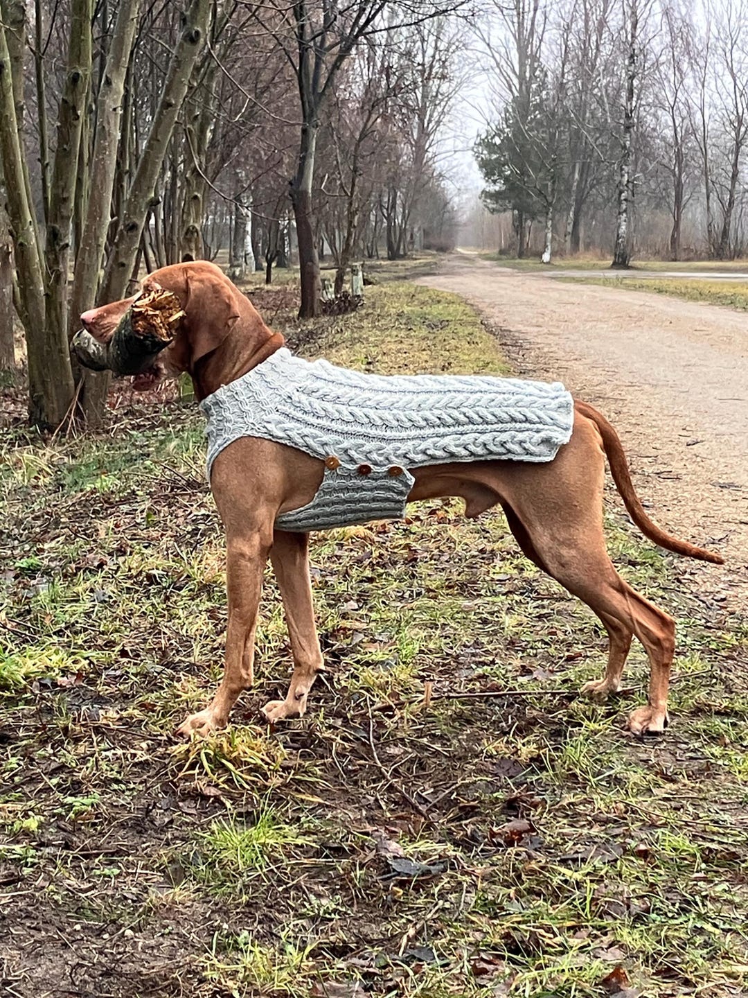 Warm Gray Jacket for a Big Dog; Dog Clothes; Natural Wool Yarn Sweater ...