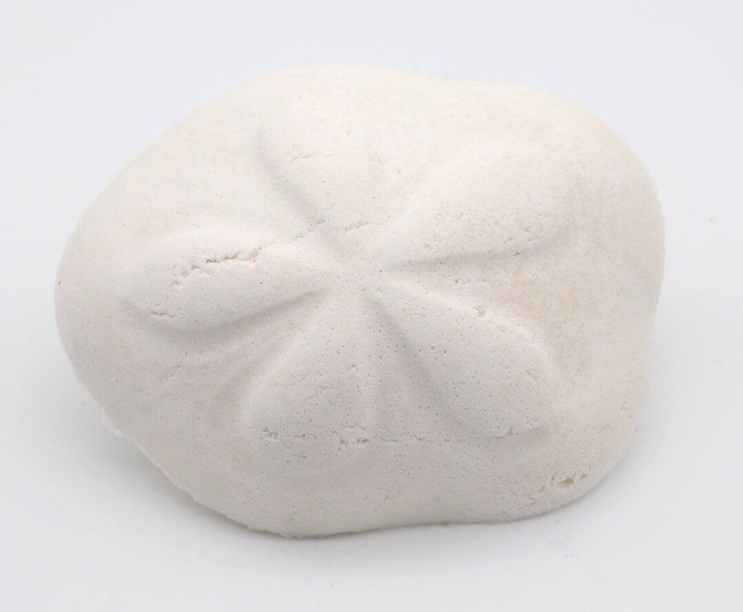 Sand Dollar Seashell Bath Bomb - Giant Bath Bomb, Large Bath Bomb, Full ...