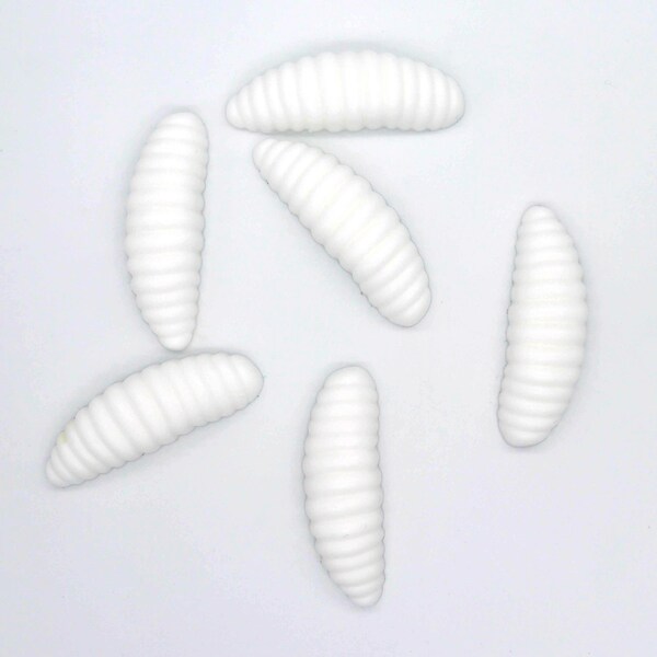 Maggots - Etsy