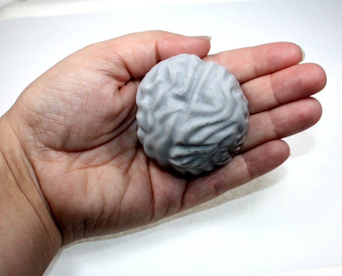 4 Brains Are Better Than One Brain Soap Smart Zombies - Etsy