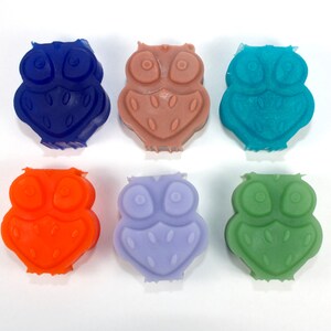 Whooooo Needs a Soap Owl Soap, Bird Soap, Party Favor, Wise Owl ...