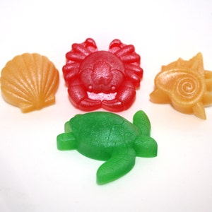 Animals in Shells Soaps Turtle, Crab, Spiny Top Shell, Scallop Animals ...