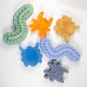 Creepy Crawly Critter Soaps - Set of 6 - Centipede, Spider, Insect ...