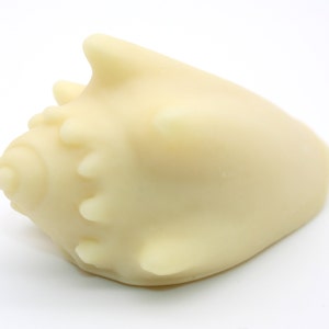 Sea Shell Solid Lotion Bar Seashell Lotion Bar, Skin Care, Travel ...