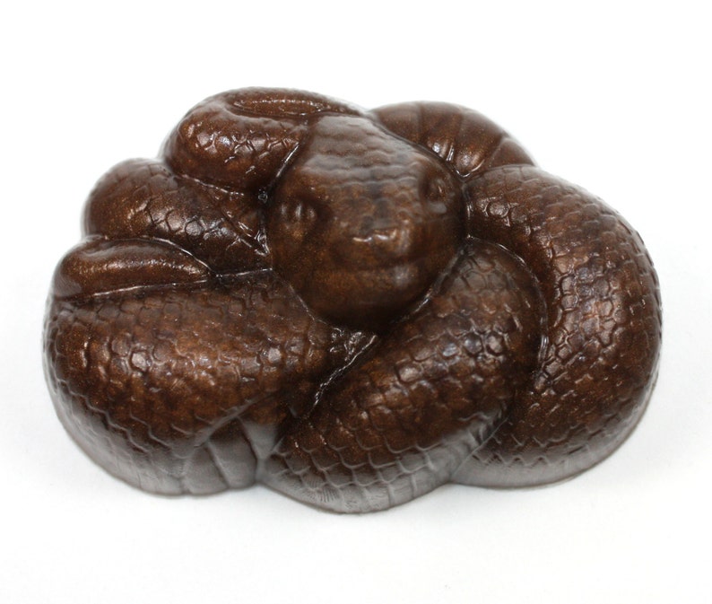 Snake Knot Soap - Reptile, Halloween, Slither, Exotic Pets, Herp ...