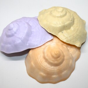 Spiral Sea Shell Soap Party Favor, Ocean Theme Party, Seaside, Marine ...