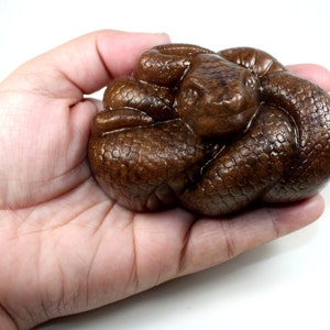Snake Knot Soap - Reptile, Halloween, Slither, Exotic Pets, Herp ...