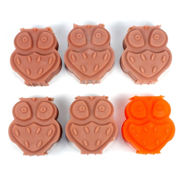 Owl Soap - Etsy