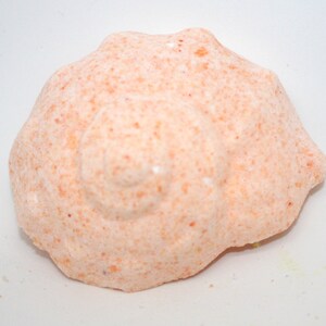 Spiral Shell Bath Bomb Sea Shell Bath Bomb, Seashell Bath Bomb, Bath ...