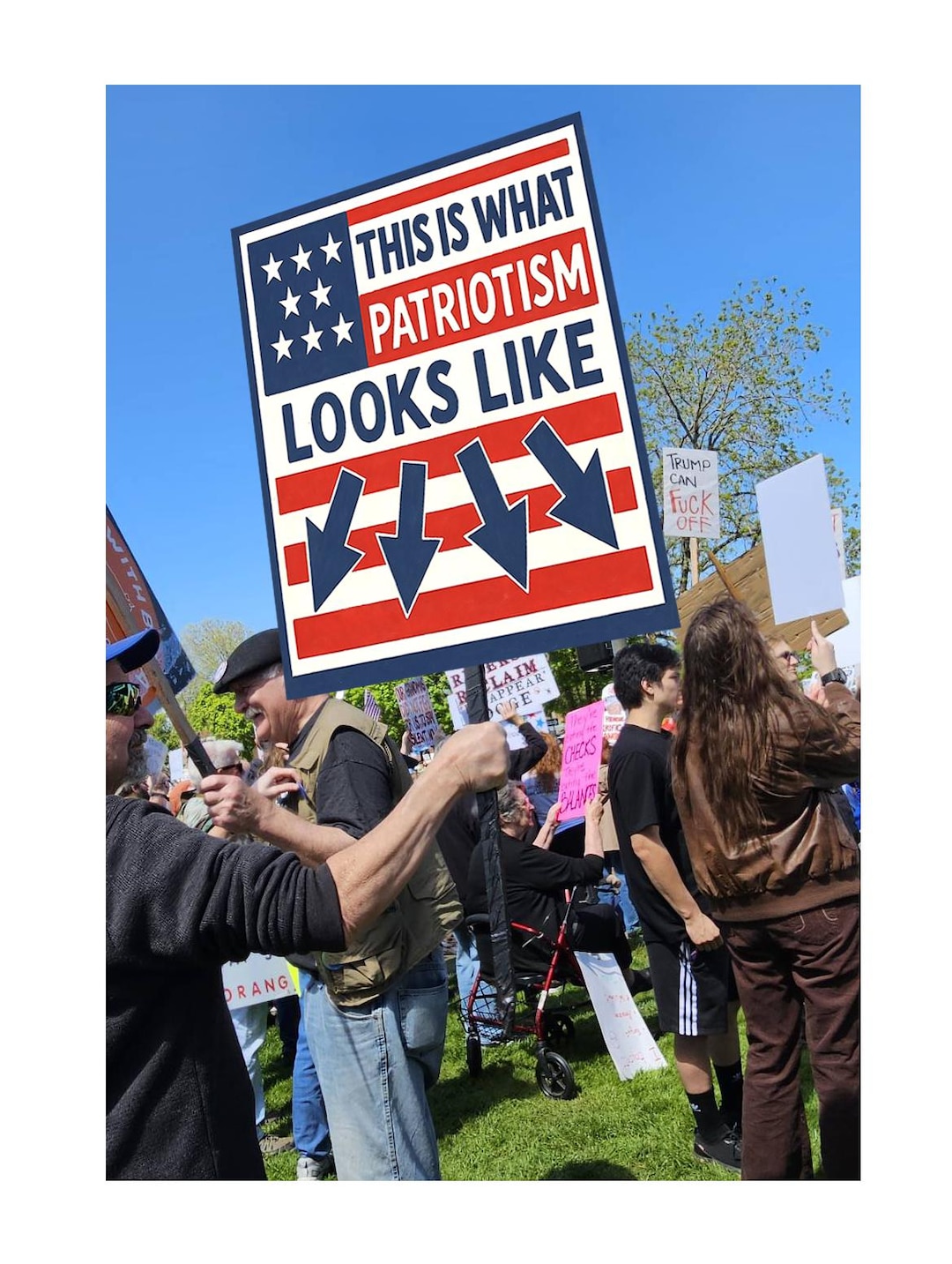 Patriotism Protest Sign: July 4th American Flag Art (digital Download ...
