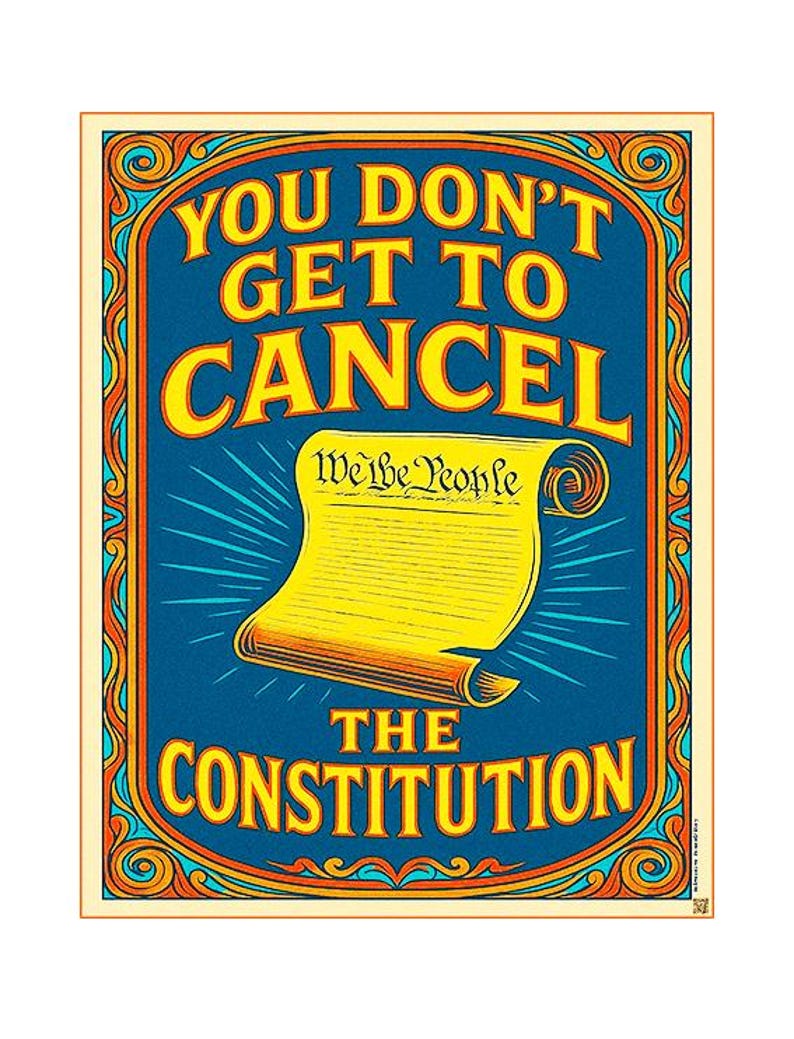 Printable Protest Poster Sign – You Don't Get to Cancel the ...