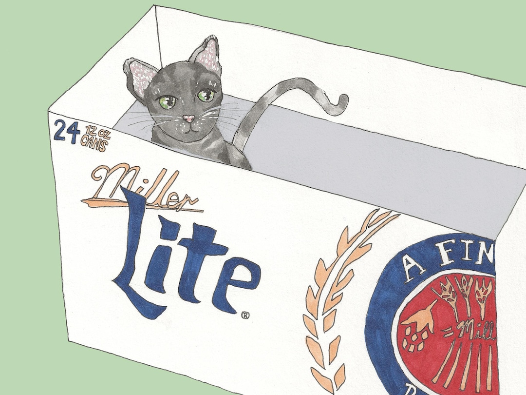 Cat in Miller Lite Box Print "miller Girl" - Etsy