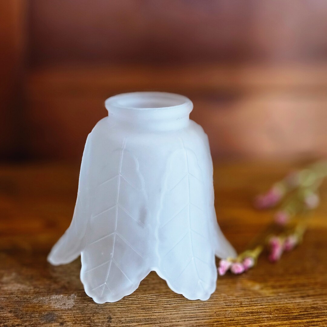 Replacement 2 Inch Fitter Tulip Glass Lamp Shade Frosted / Leaf Fronds ...