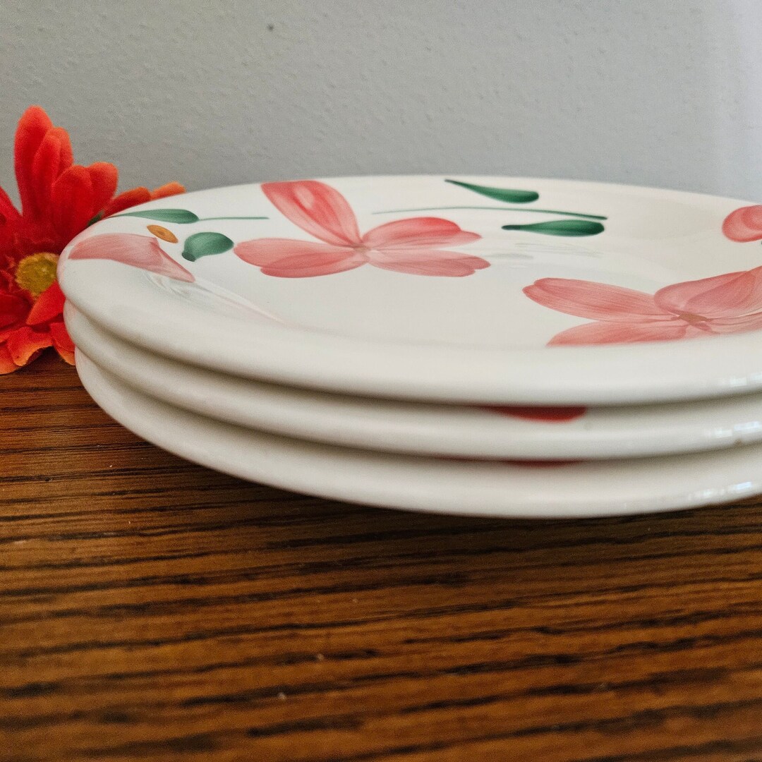 Furio Ceramic Salad Plates (set of 3): Hand-painted Pink Flowers, Made ...