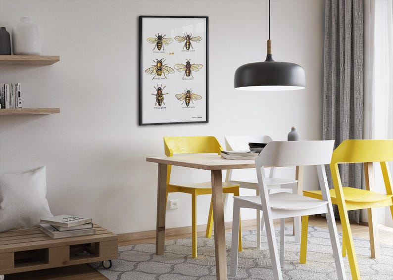 Types of Bees - Insect Poster, Nature Illustration (vertical Poster) - Etsy