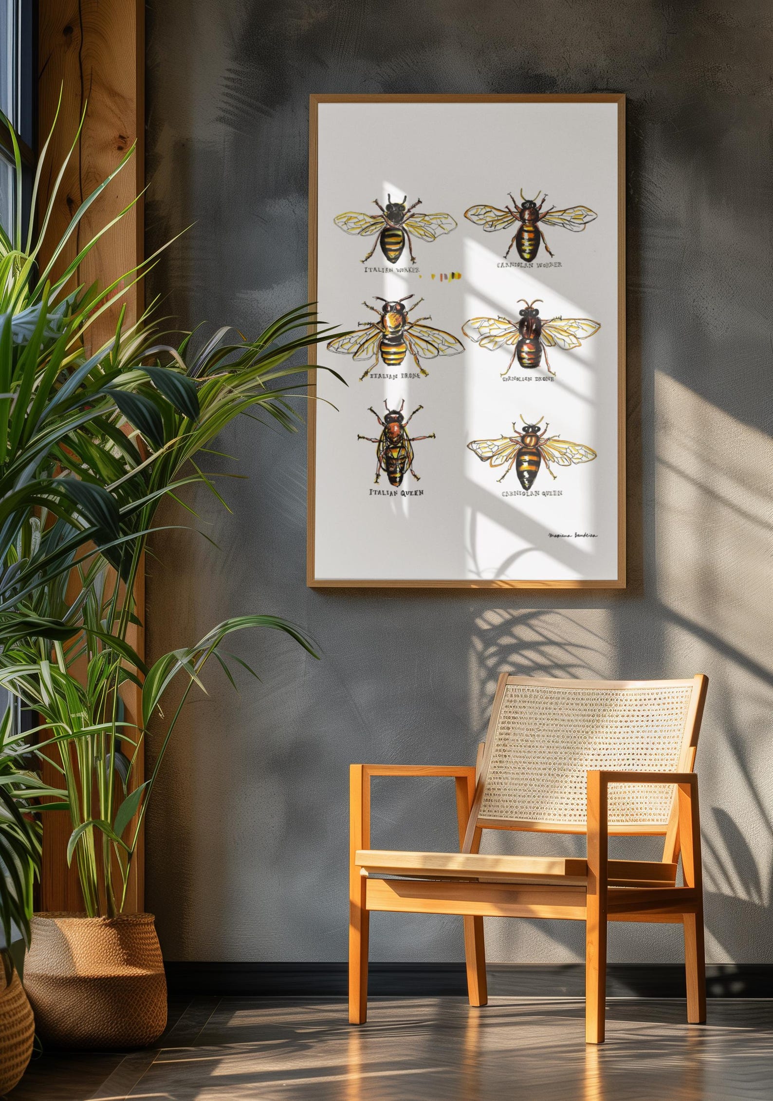 Types of Bees - Insect Poster, Nature Illustration (vertical Poster) - Etsy