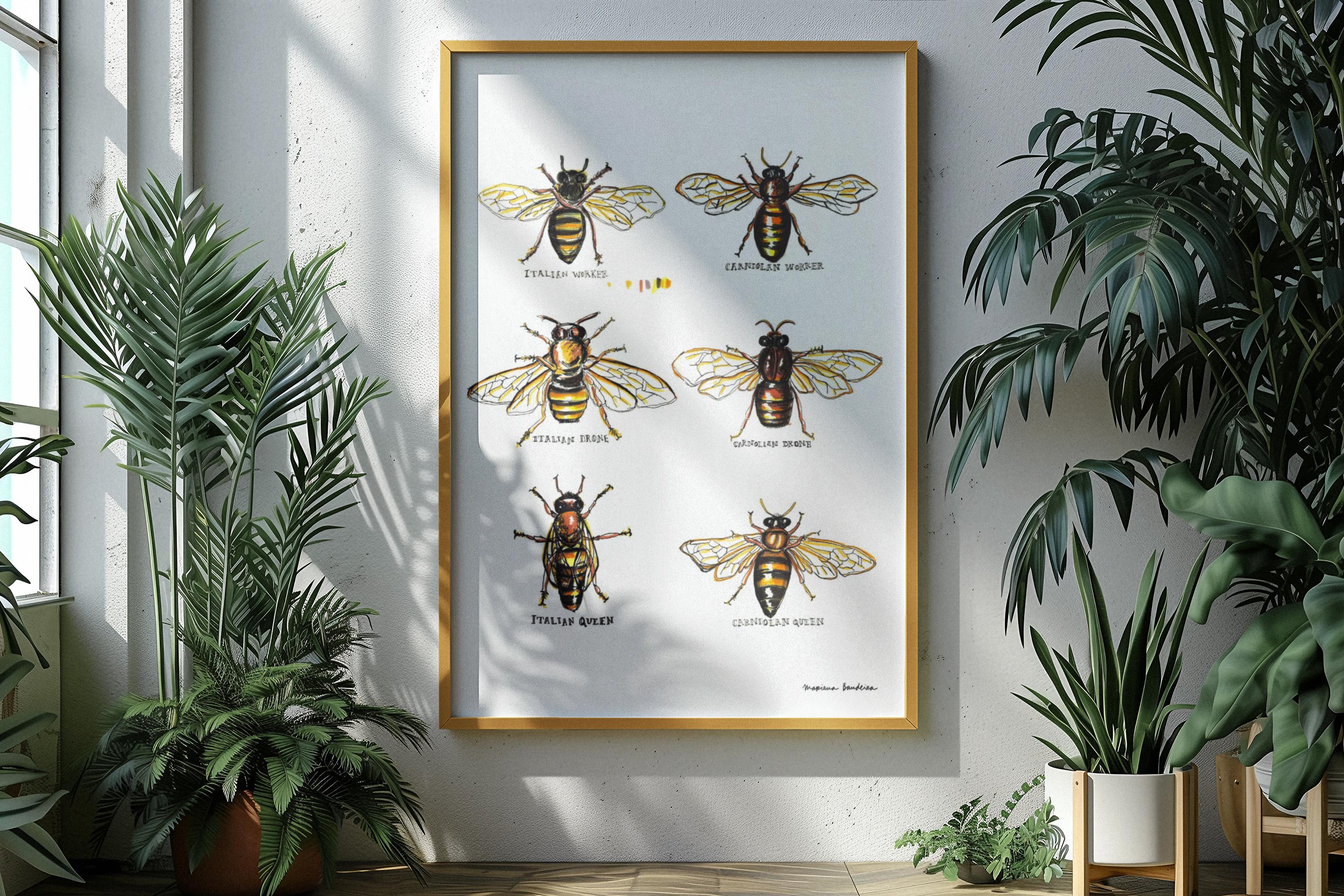 Types of Bees - Insect Poster, Nature Illustration (vertical Poster) - Etsy