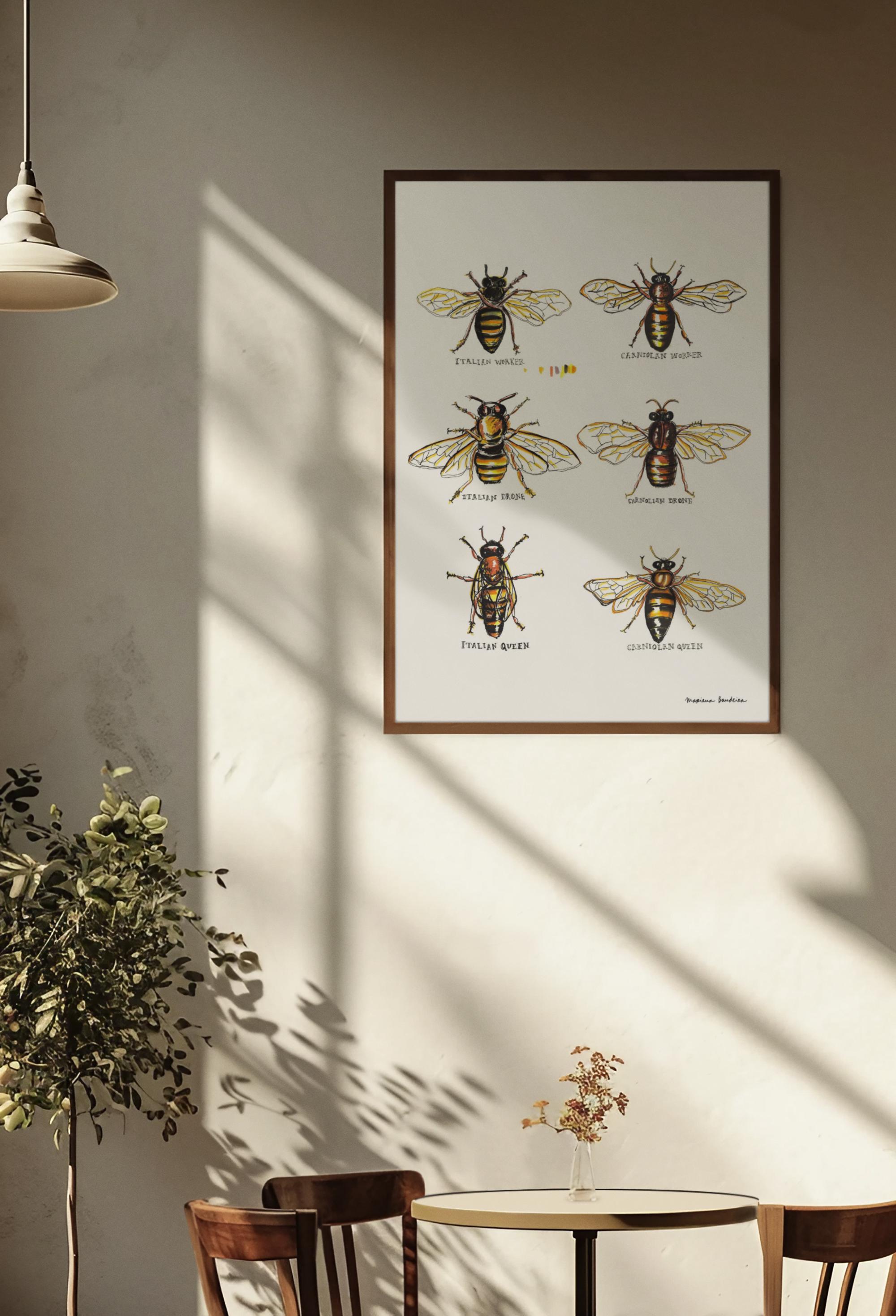 Types of Bees - Insect Poster, Nature Illustration (vertical Poster) - Etsy