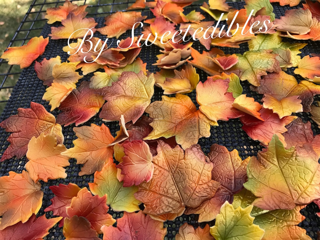 Gumpaste Fall Leaves Fondant Gum Paste - Etsy