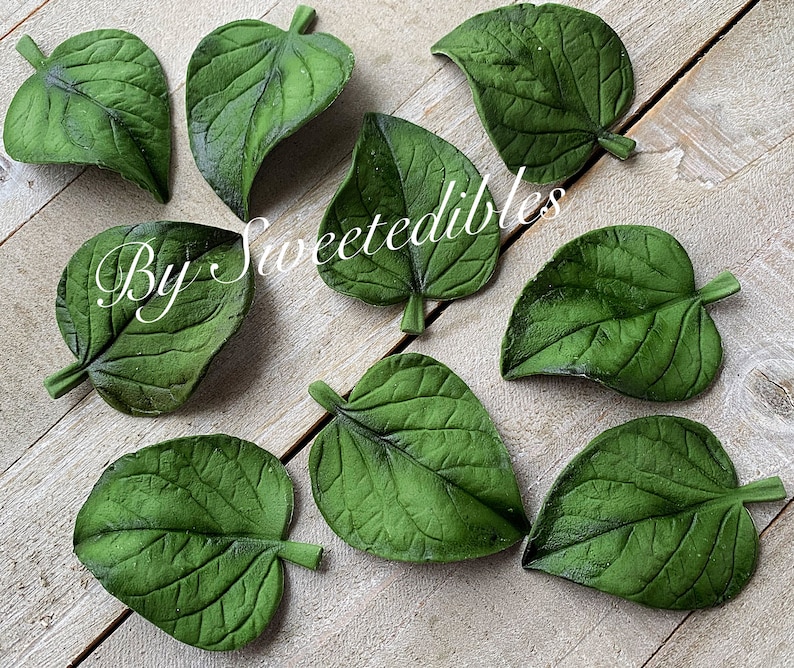 Gumpaste Leaves Green Foliage - Etsy