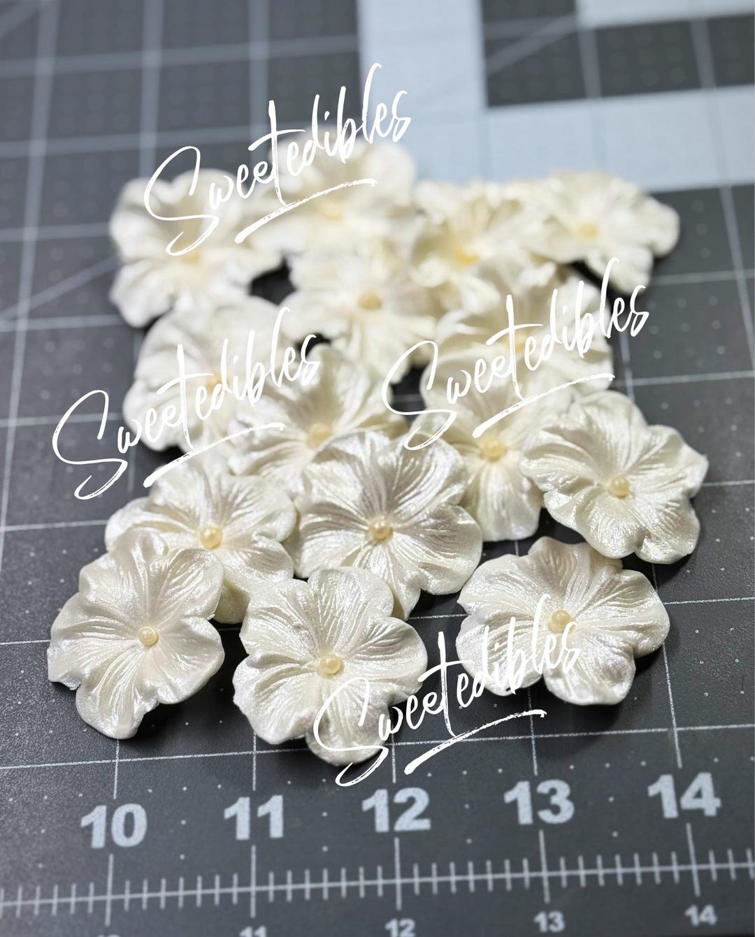 Gumpaste Cake Decorations WHITE Gum Paste Blossoms 24 Piece - Etsy