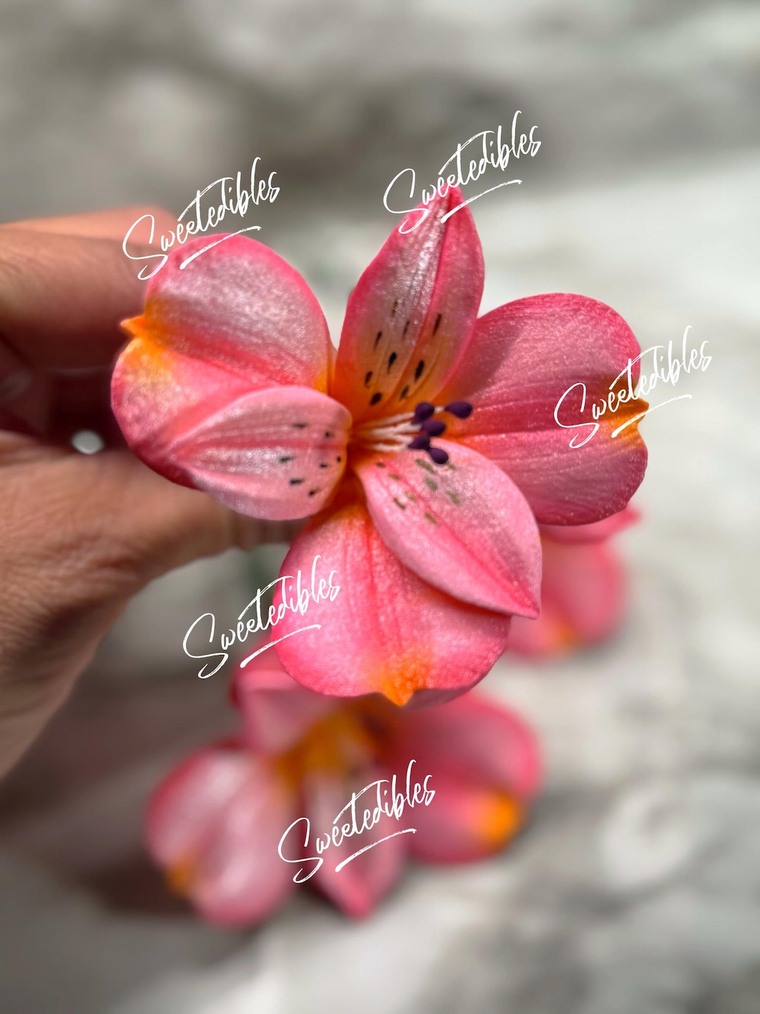 Alstroemeria Flower for Cake Decorating Gum Paste (pink) Fondant - Etsy