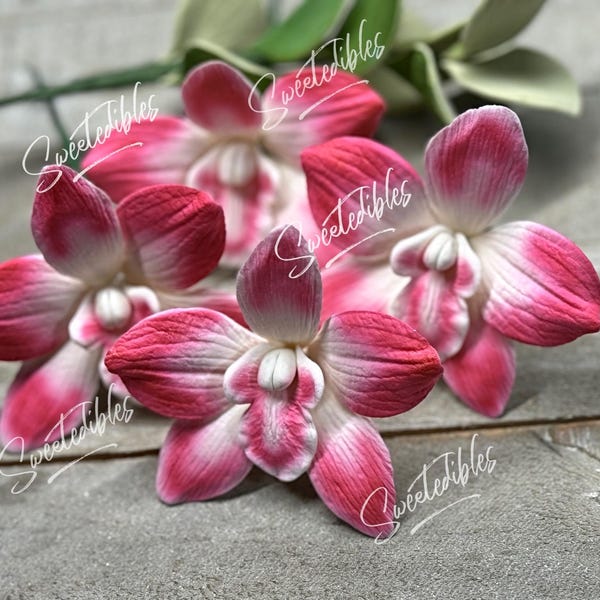 Orchid Cake Topper - Etsy