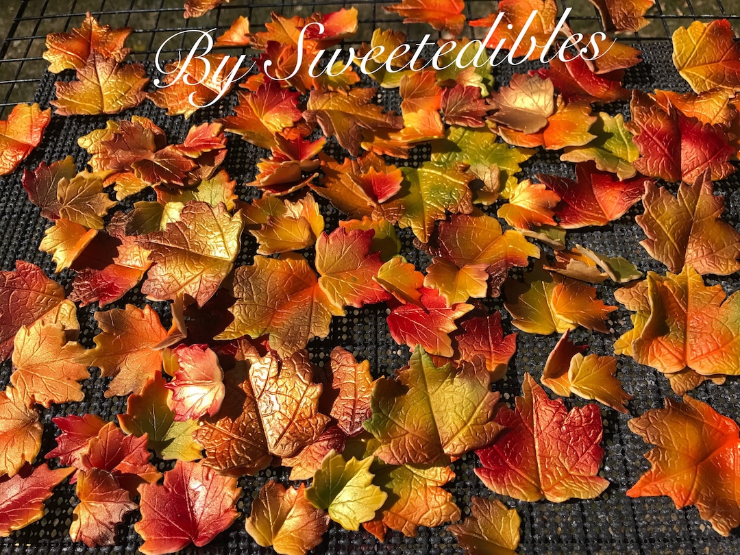 Autumn Gum Paste Fall Edible Leaves for Cake Decorating - Etsy