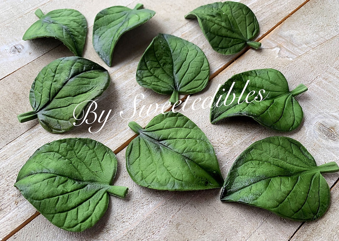 Gumpaste Leaves Green Foliage - Etsy