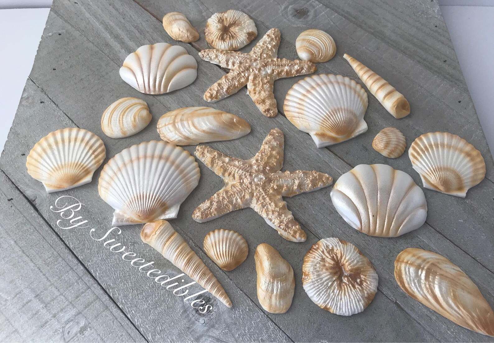 20 Piece Edible Gum Paste Seashells - Etsy