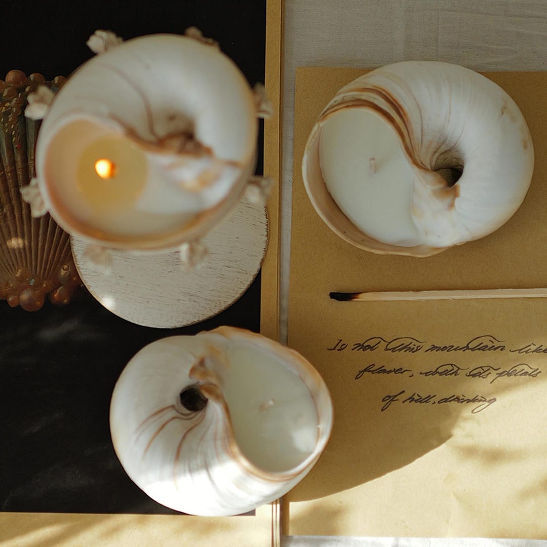 Shell Scented Candles, Jasmine Rose, Ocean Series Gift - Etsy