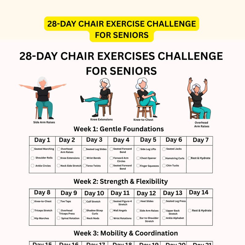28-day Chair Exercises Guide for Seniors | Seated Workout (digital ...