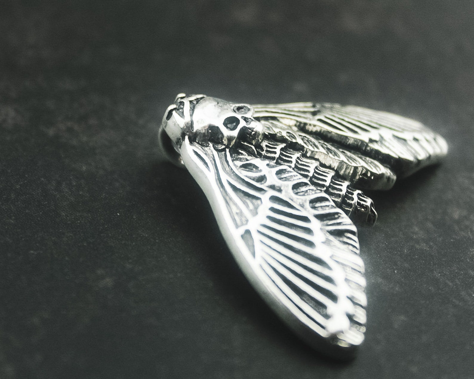 1pcs Silver Dead Head Moth Charm Gothic Wiccan Jewelry - Etsy