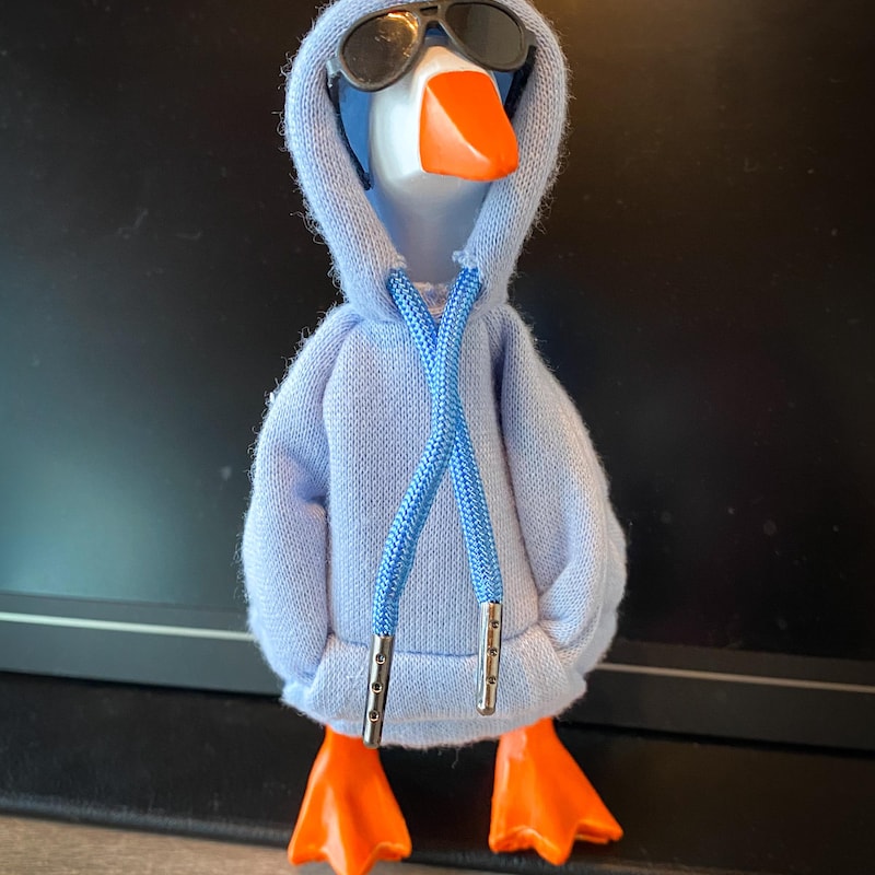 Desk Goose and Outfits - Etsy