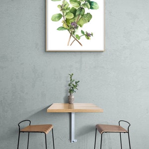 Oregano Watercolor Herb Art Print, Kitchen Decor (digital Download) - Etsy