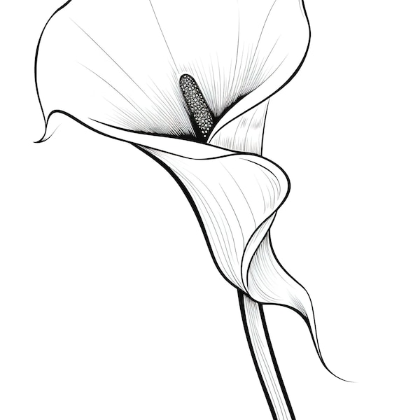 Calla Lily Wall Art - Etsy