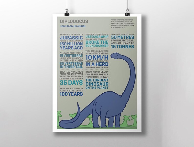 Diplodocus Dinosaur Infographic Digital Print – Educational Poster for ...