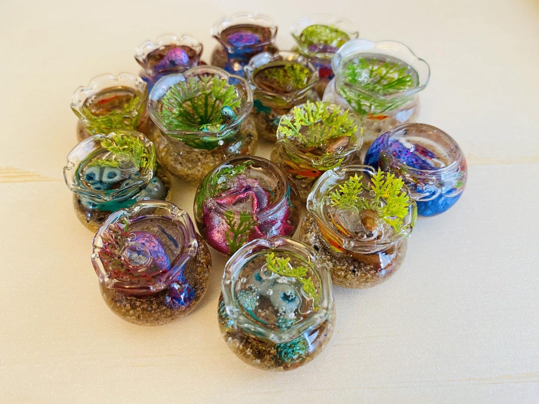 Fish Bowl Miniatures (1/6 Scale, 1/12 Scale) - Etsy Canada