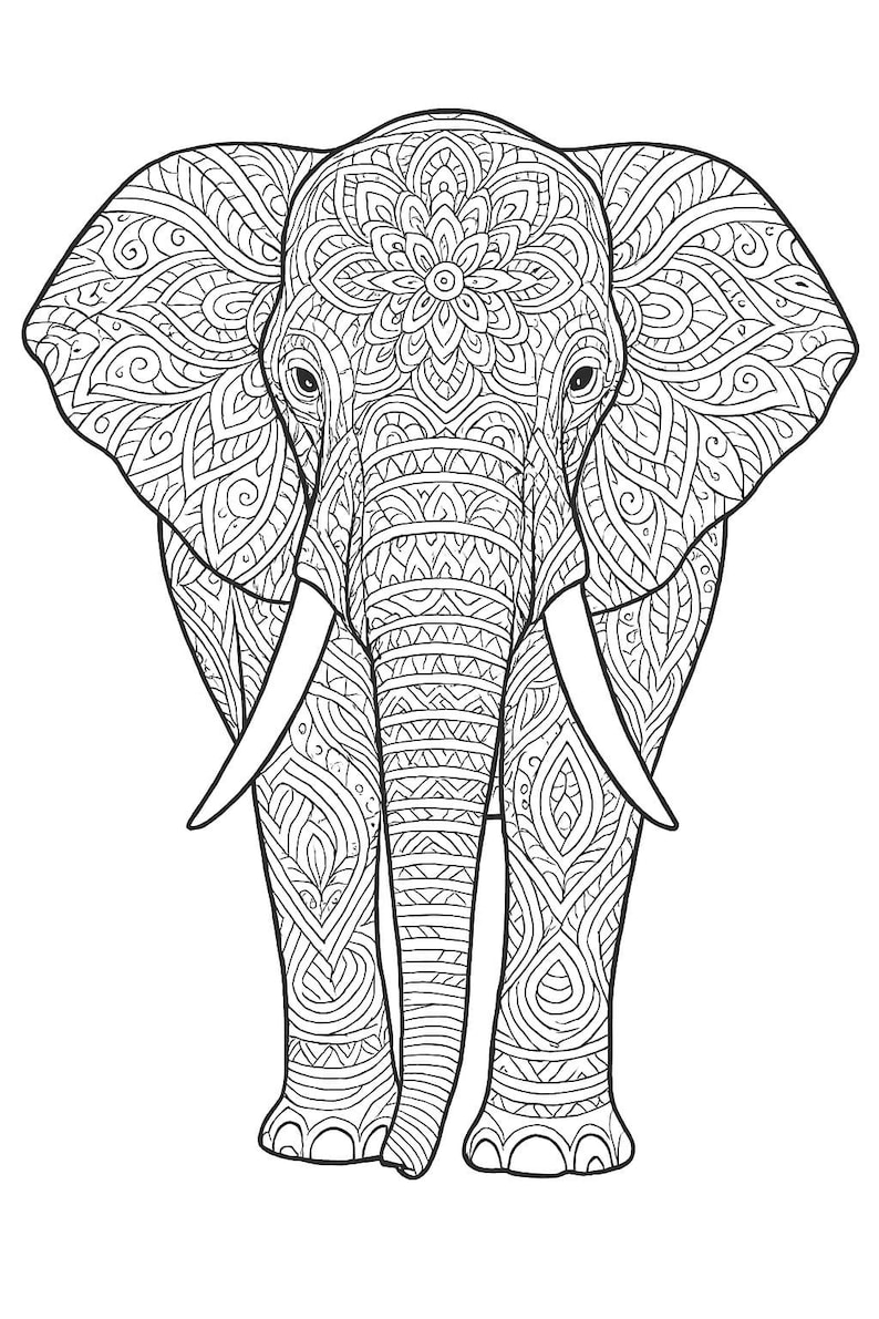 Cute Animal Mandala Coloring Pages – Printable Instant Download for ...