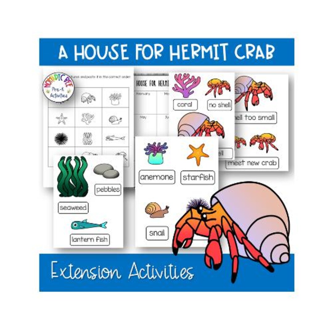 A House for Hermit Crab Activities - Etsy
