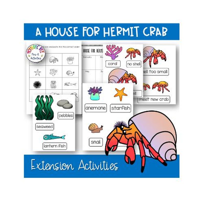 A House for Hermit Crab Activities - Etsy