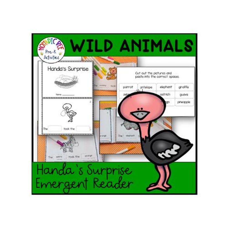 Handa's Surprise Activities - Etsy