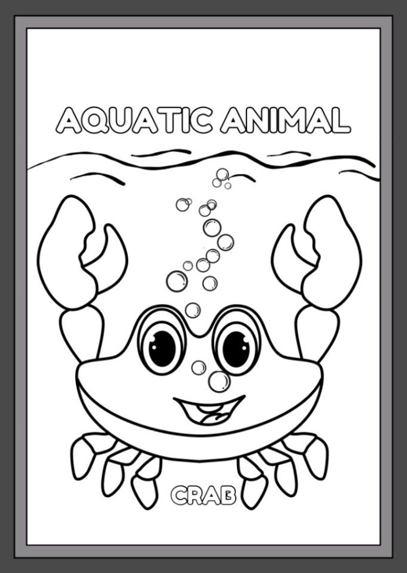 Aquatic Animals Coloring Book - Etsy
