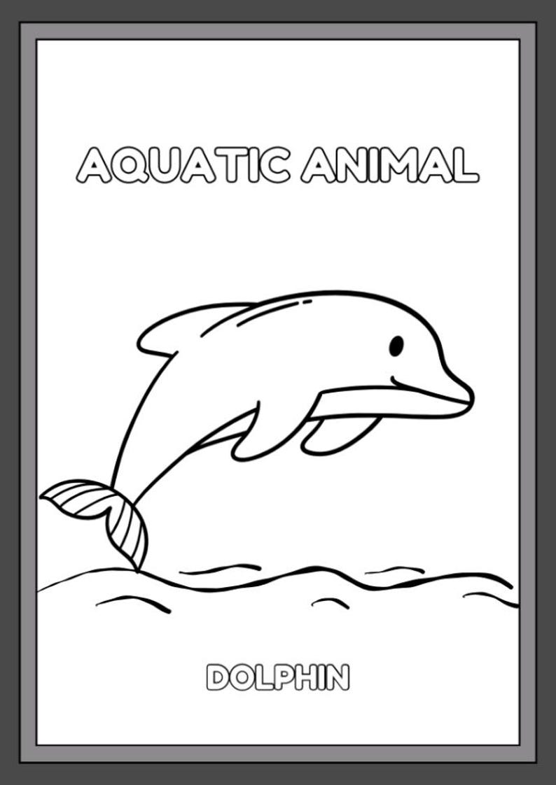 Aquatic Animals Coloring Book - Etsy
