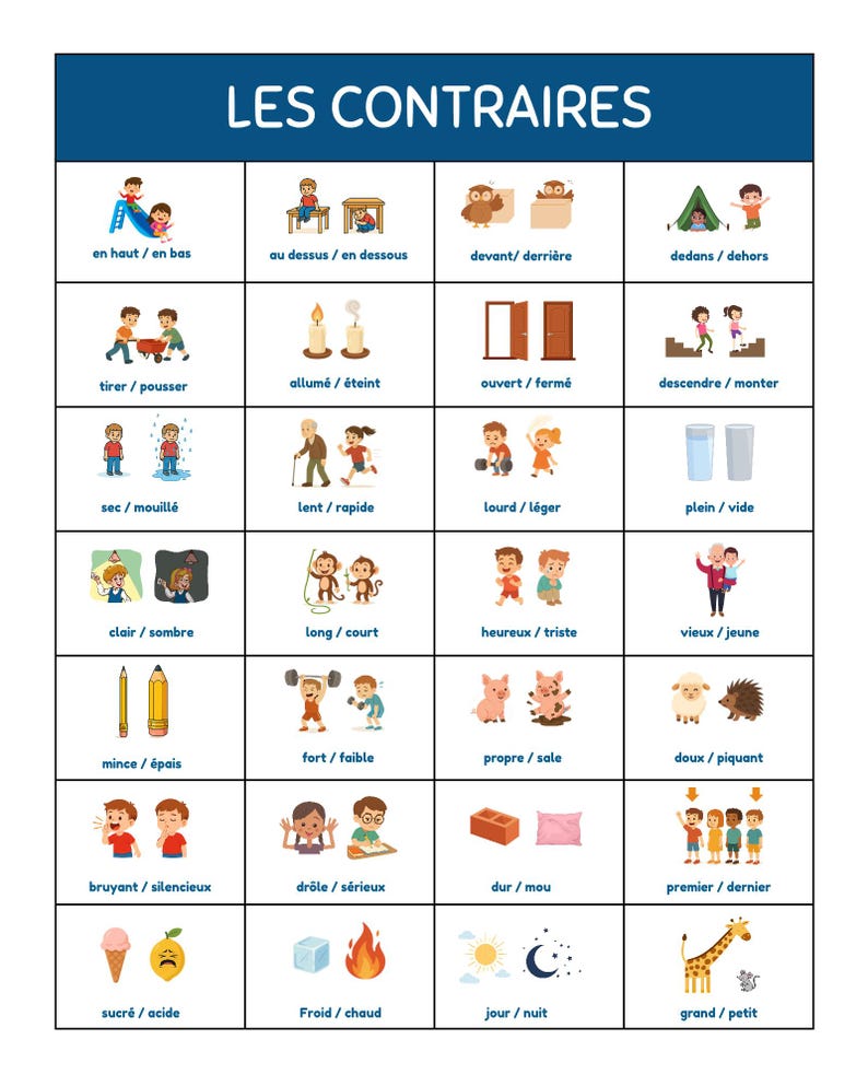 French Opposites Poster: 'les Contraires' Vocabulary Chart (digital ...