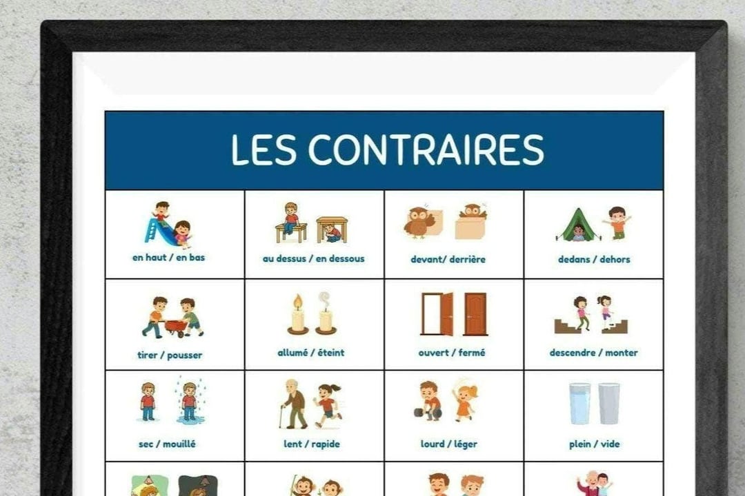 French Opposites Poster for Kids | Les Contraires Printable Chart ...