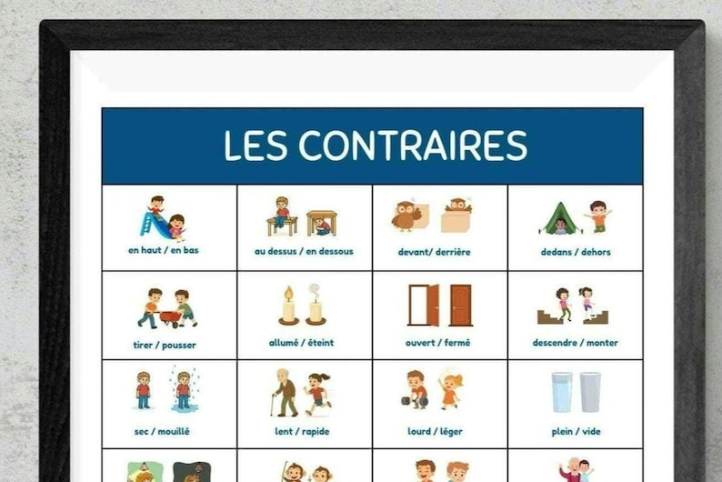 French Opposites Poster: 'les Contraires' Vocabulary Chart (digital ...