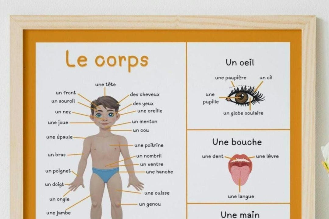French Body Parts Poster for Kids | Le Corps Printable | French ...