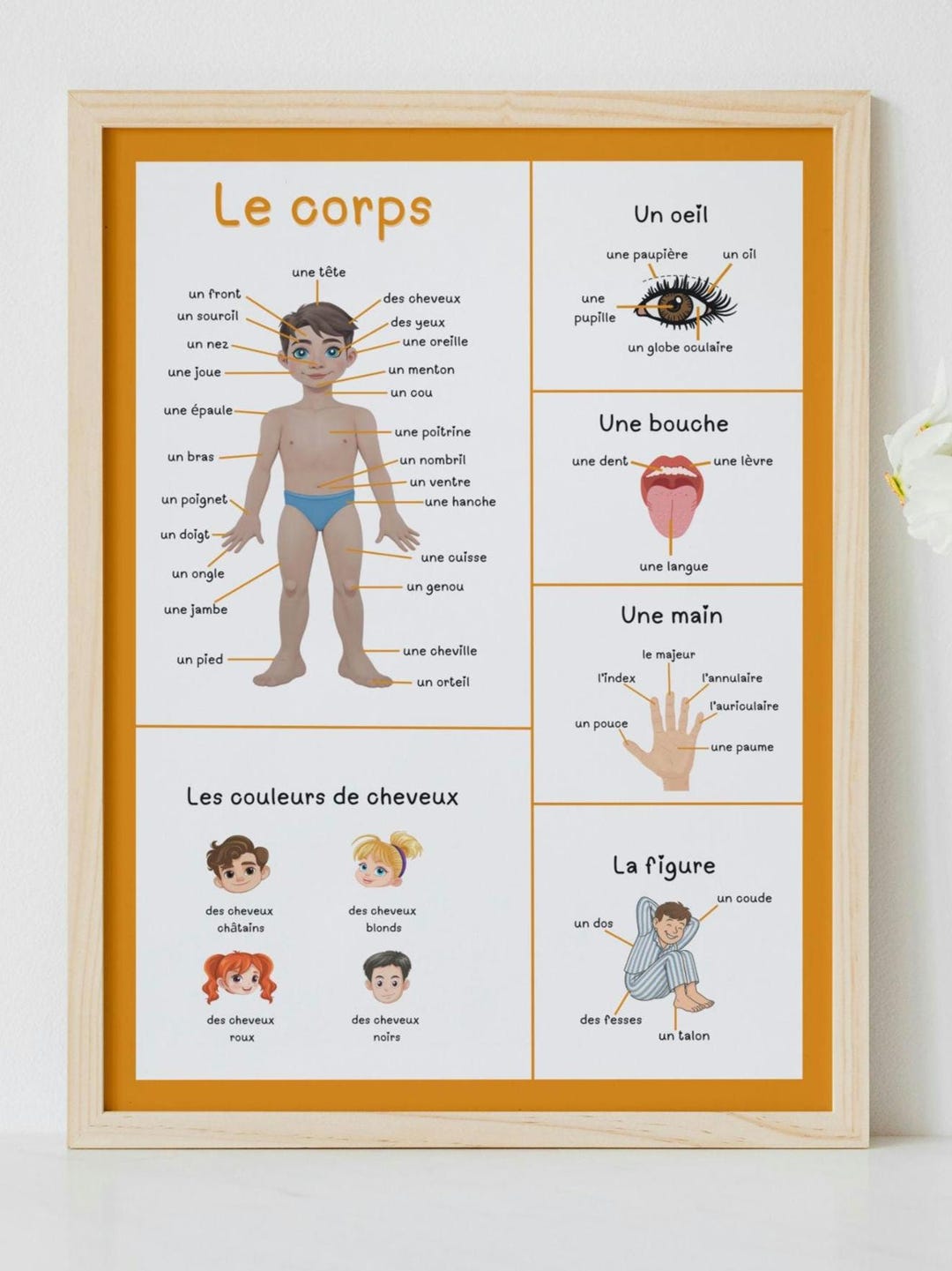 French Body Parts Poster - Le Corps - Affiche Pedagogique En Francais ...