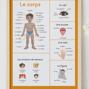 French Body Parts Poster - Le Corps - Affiche Pedagogique En Francais ...